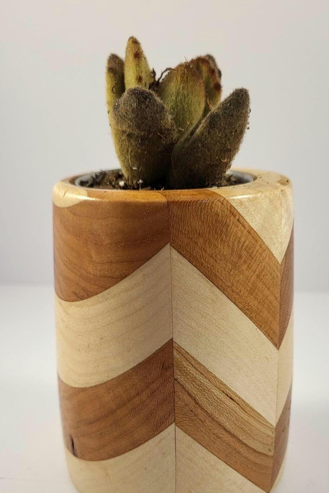 Cherry,maple Chevron Flower Planter,birthday Gift,room Decor,succulent ...