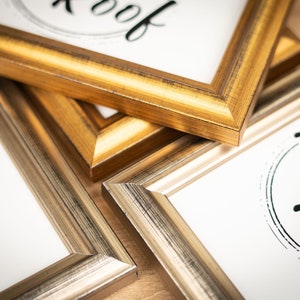 Beveled Brushed Gold Frame, Brushed Silver Picture Frame, Contemporary ...