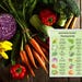 Australian Garden Planting Guide | Fruit & Vegetable Growing Calendar ...