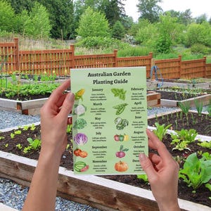 Australian Garden Planting Guide | Fruit & Vegetable Growing Calendar ...