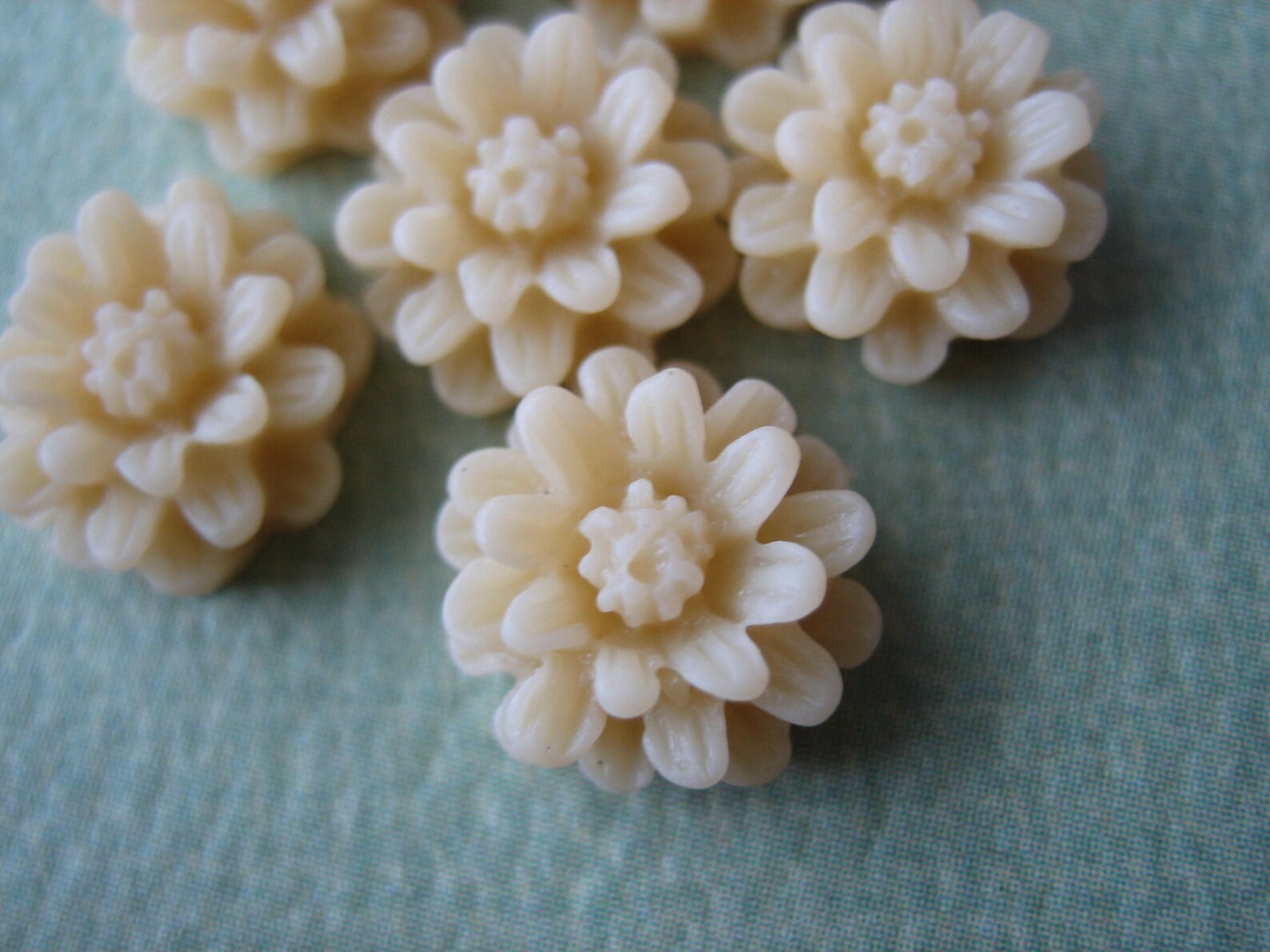 Vanilla Cabochons, Ivory Cabochons, 6 Pieces, Mini Daisy Cabochons ...