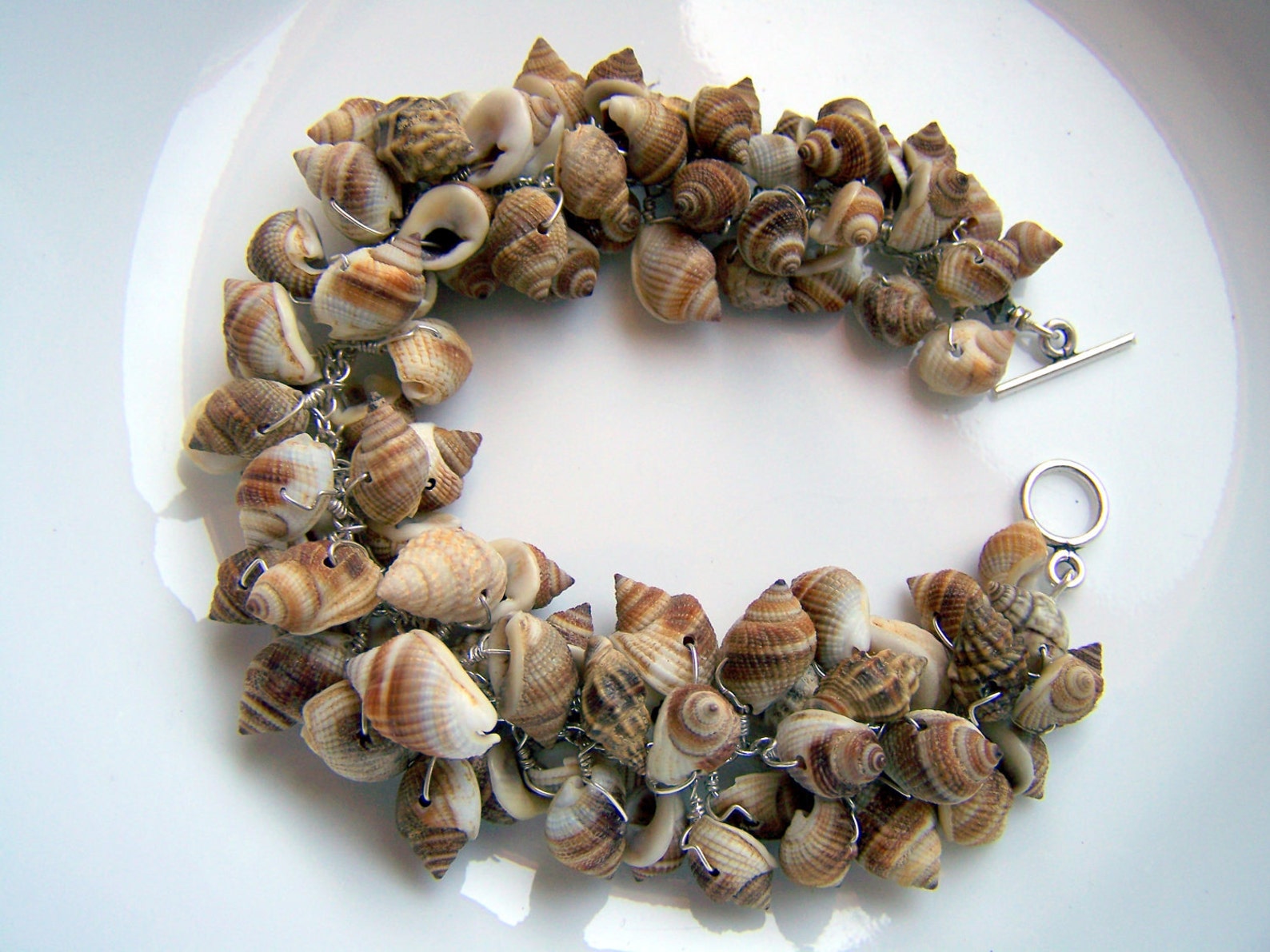 Sterling Silver Shell Bracelet Nutmeg Seashells. Wire Wrapped Seashell ...