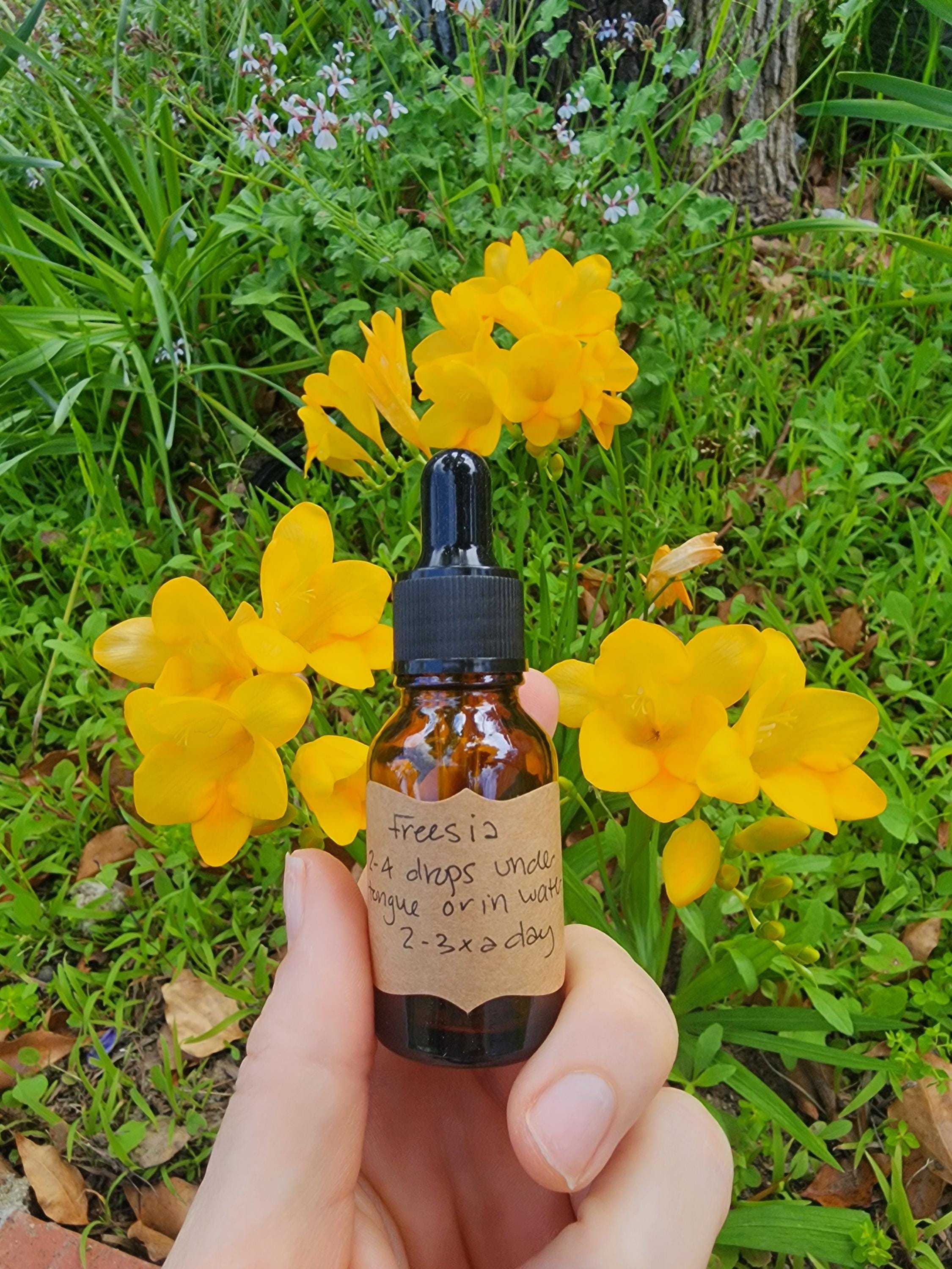 Freesia Flower Essence - Etsy