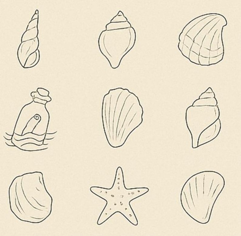 Seashell Tattoo Flash Sheet: 100+ Fineline Beach Designs (digital ...