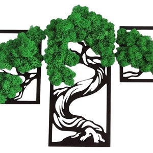 Preserved Moss Tree Wall Art – Handmade Botanical Decor | Natural ...