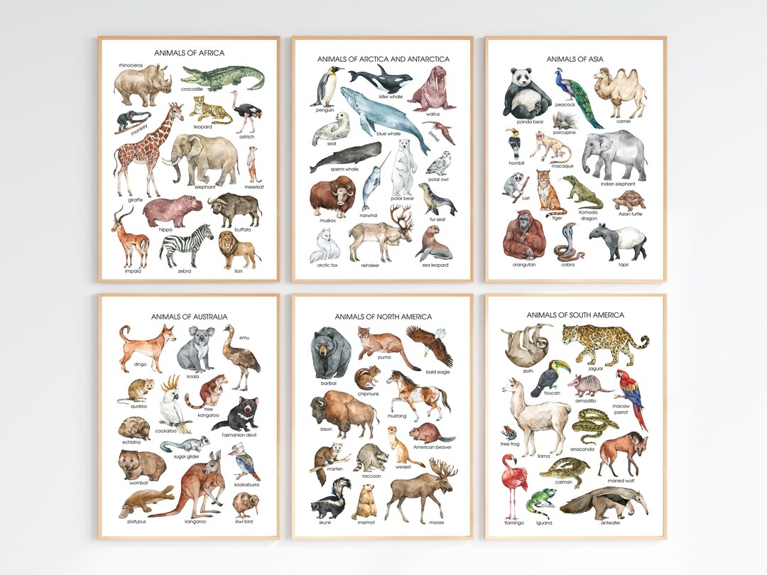 Montessori Animal Classification Set - 6 Educational Posters for ...