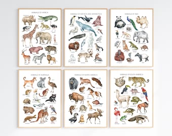 Montessori Animal Classification Set - 6 Educational Posters for ...