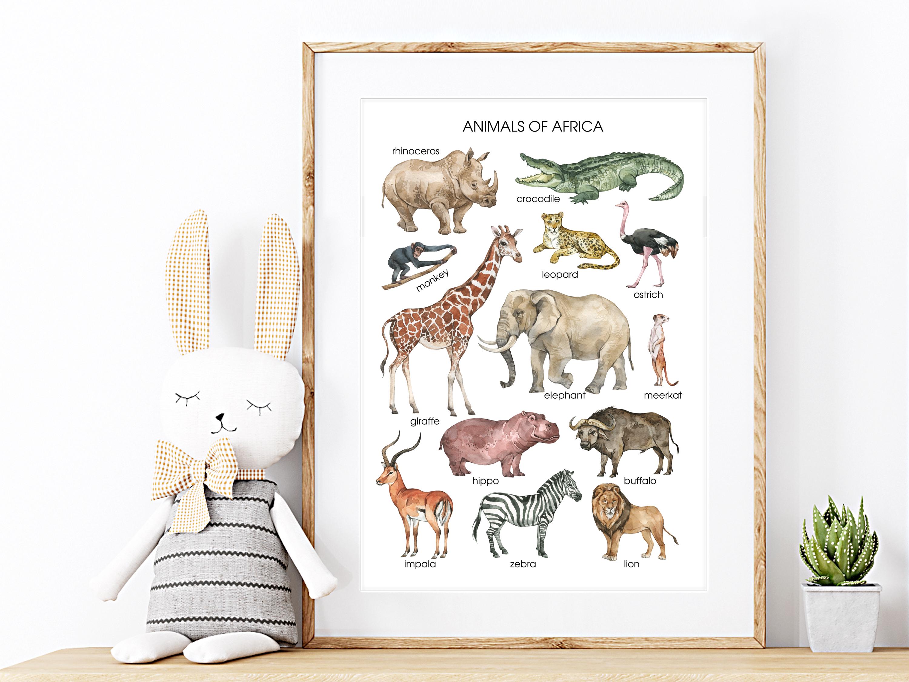 Montessori Animal Classification Set - 6 Educational Posters for ...