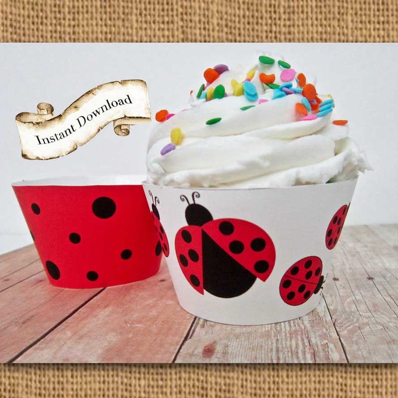 Ladybug Picnic - Etsy