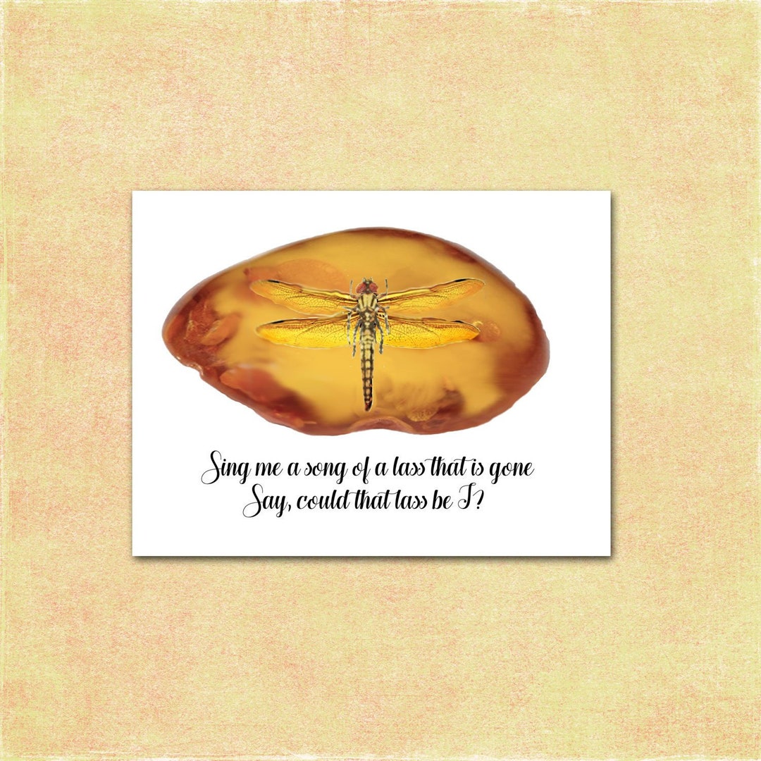 Dragonfly in Amber Note Cards: Outlander Inspired, Scottish Folk Song ...