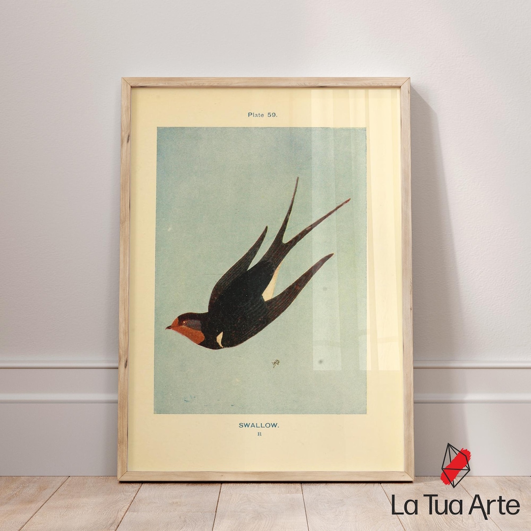 Vintage Swallow Bird Book Plate Print, Vintage Wall Art, Vintage Poster ...