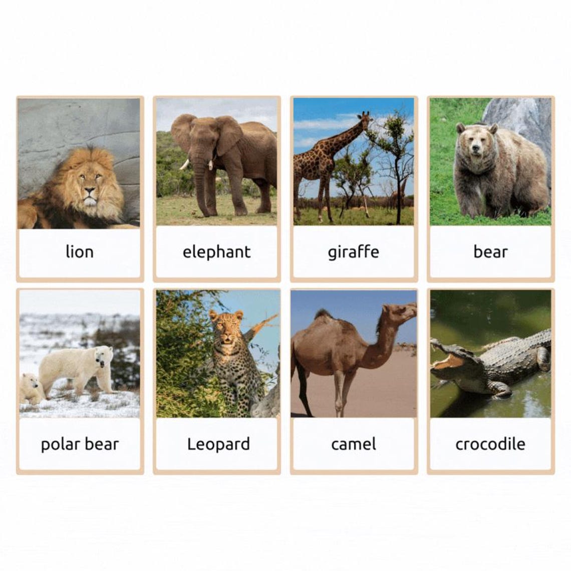 Wild and Farm Animal Flashcards – Printable Learning Cards for Kids ...