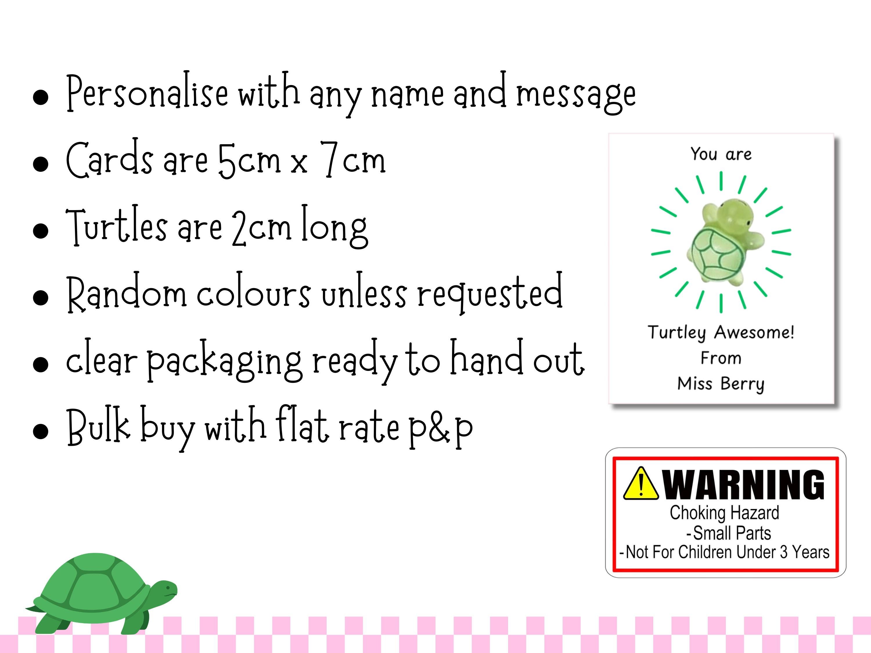 Personalised Teacher to Pupil Class Reward Gift - Turtley Awesome Mini ...