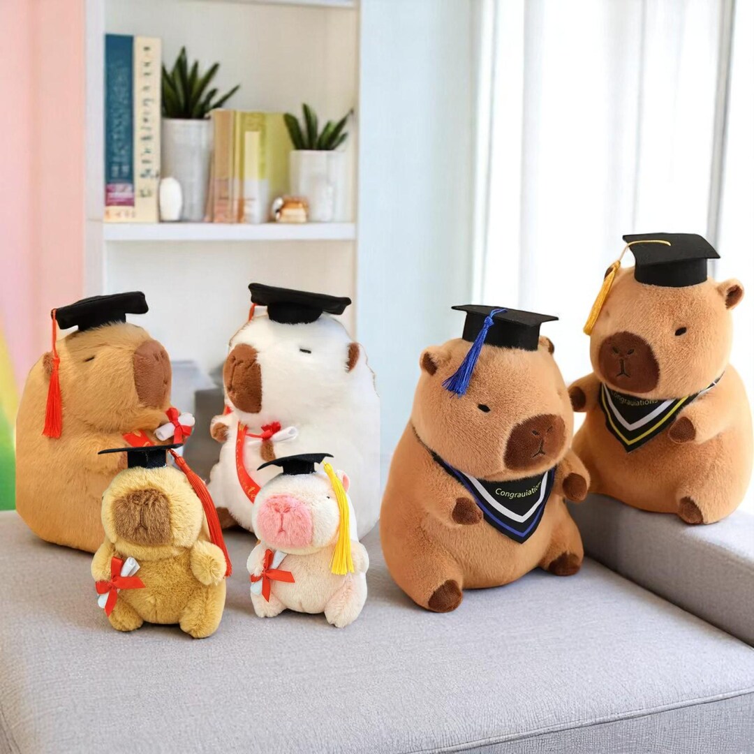 Graduation Capybara Plush Toy – Cute Graduate Gift | 12cm & 25cm Soft ...