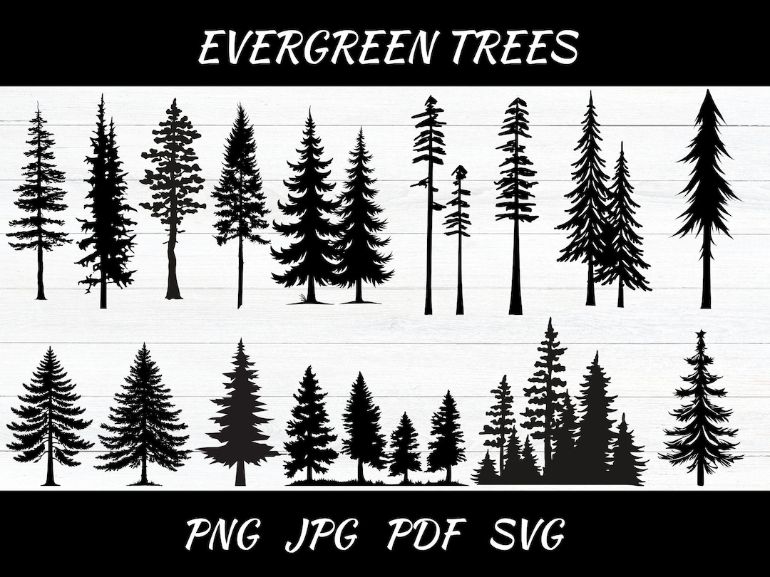 Evergreen Tree SVG Bundle: Pine, Fir, Forest (digital Download) - Etsy