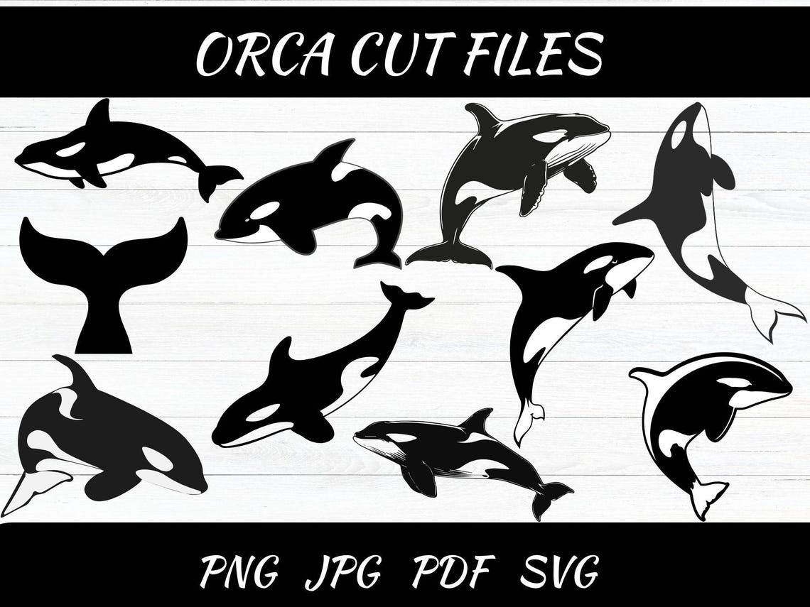 Orca Cut Files - SVG, PNG, JPG - Commercial Use, Digital Cut File, Orca ...