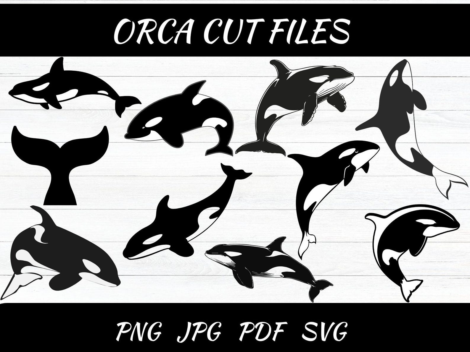 Orca Cut Files - SVG, PNG, JPG - Commercial Use, Digital Cut File, Orca ...