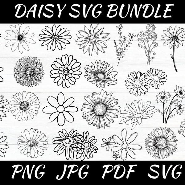 Gerber Daisy - Etsy