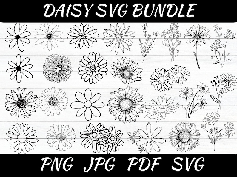 Daisy SVG Bundle: Flower Clipart, Vector Cut File (digital Download) - Etsy