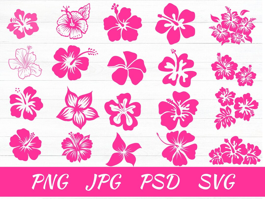 Hibiscus Flower SVG Bundle: Tropical Cut Files (digital Download) - Etsy