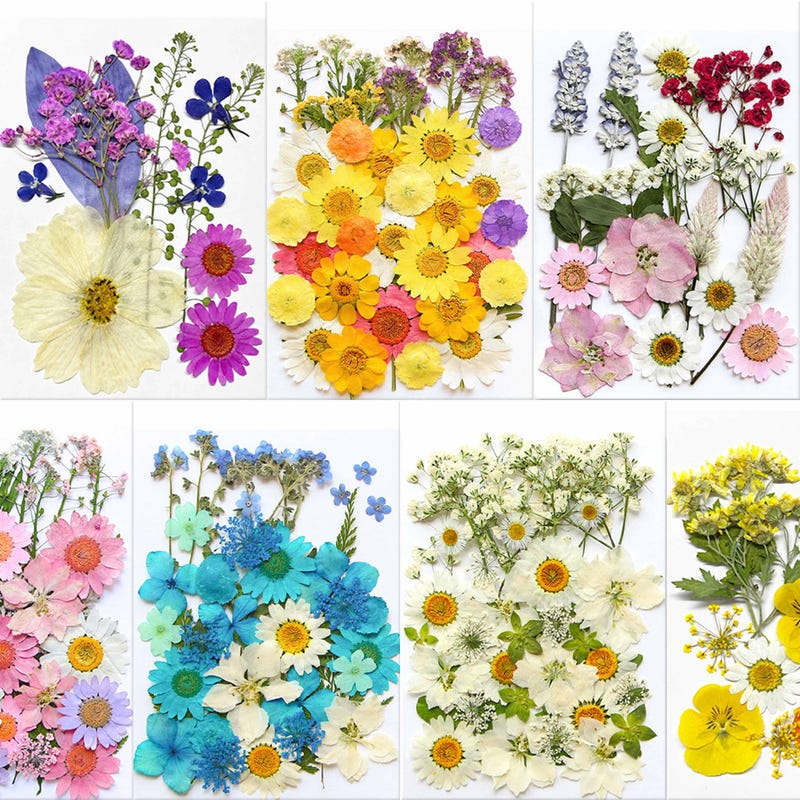 Edible Cake Flowers Daisy - Etsy