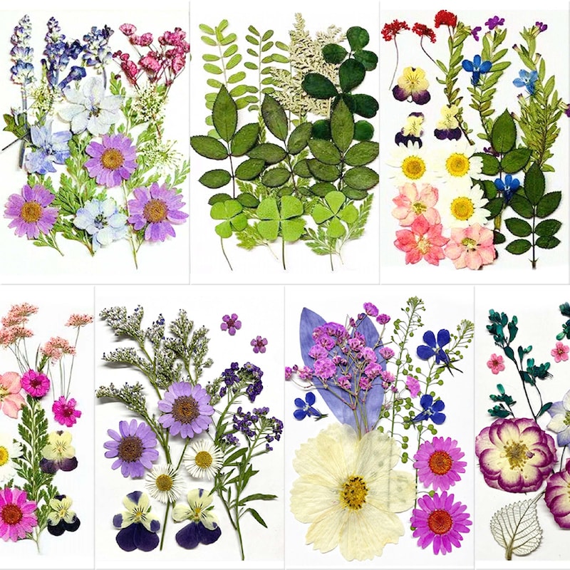 Edible Flowers Pack - Etsy