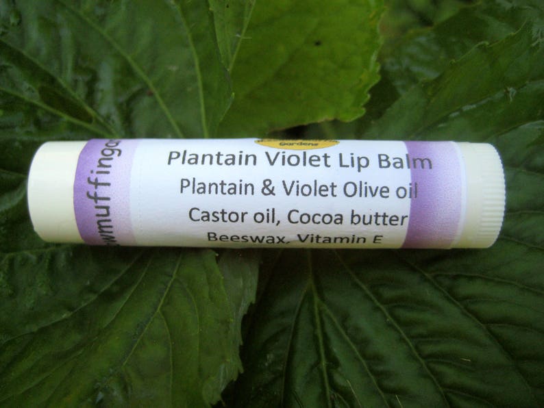 Lip Balm Variety Assortment Tube Type Healing Herbal | Etsy