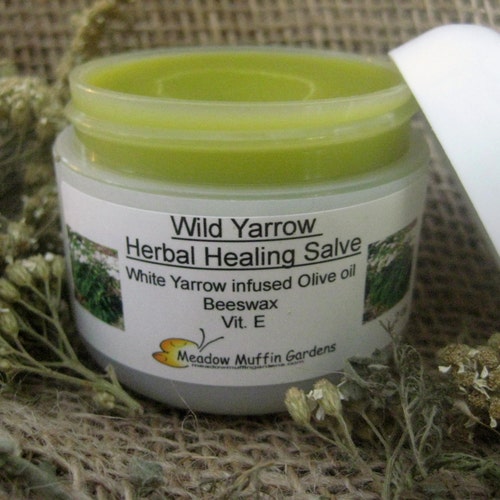Yarrow Wild White Herbal Salve Wildcrafted Organic Herbal - Etsy