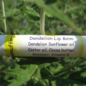 Dandelion Flowers Lip Balm, Herbal Lip Care - Etsy