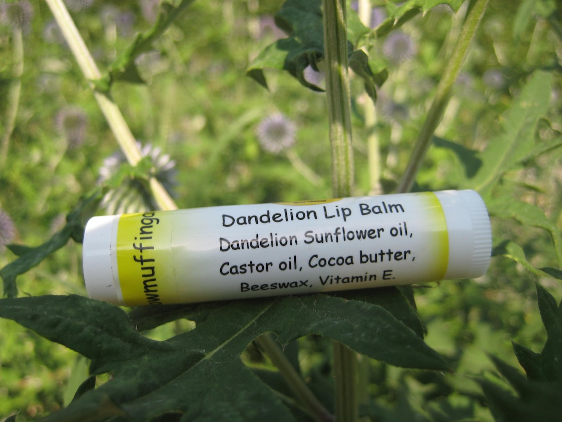 Dandelion Flowers Lip Balm Herbal Lip Care - Etsy