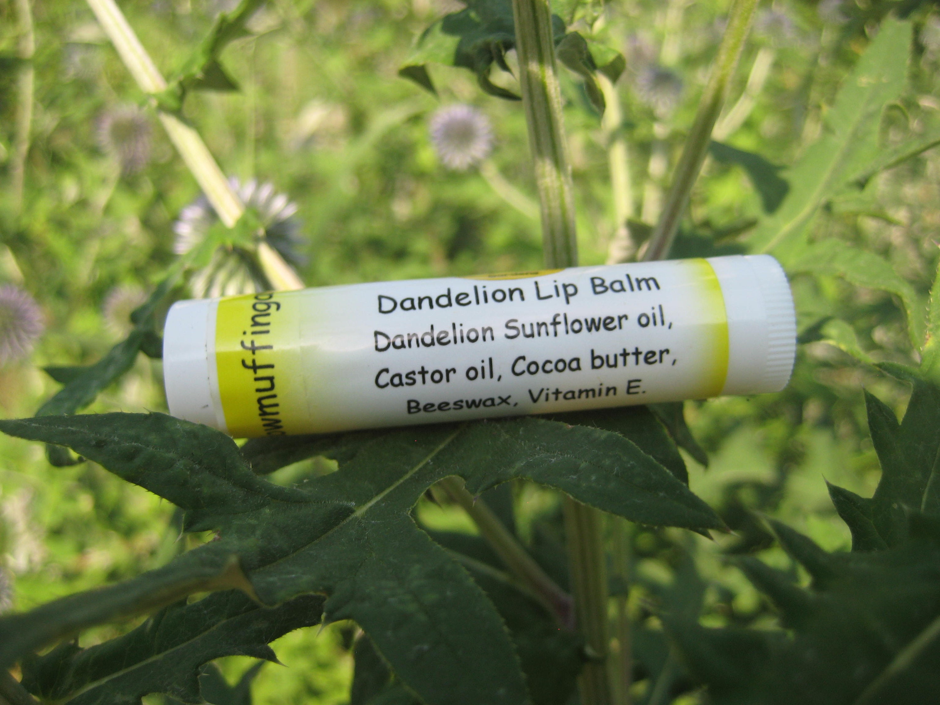 Dandelion Flowers Lip Balm Herbal Lip Care - Etsy
