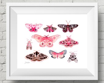 Pink Moth - Etsy