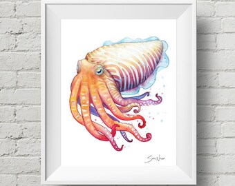Watercolor Cuttlefish - Etsy