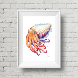 Cuttlefish : Art Print Colorful Cuttlefish Watercolor Painting - Etsy