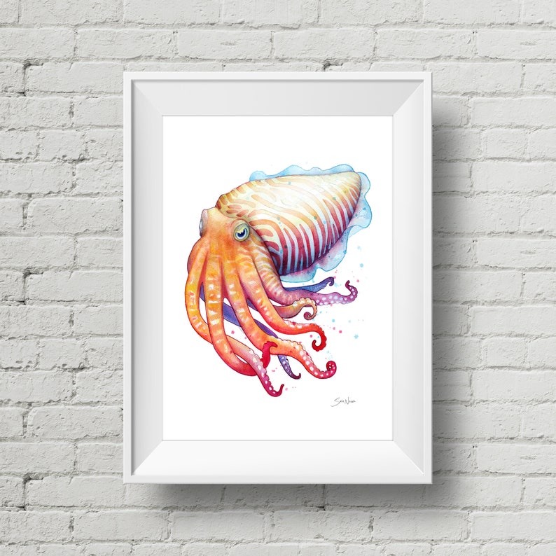 Cuttlefish : Art Print Colorful Cuttlefish Watercolor Painting - Etsy