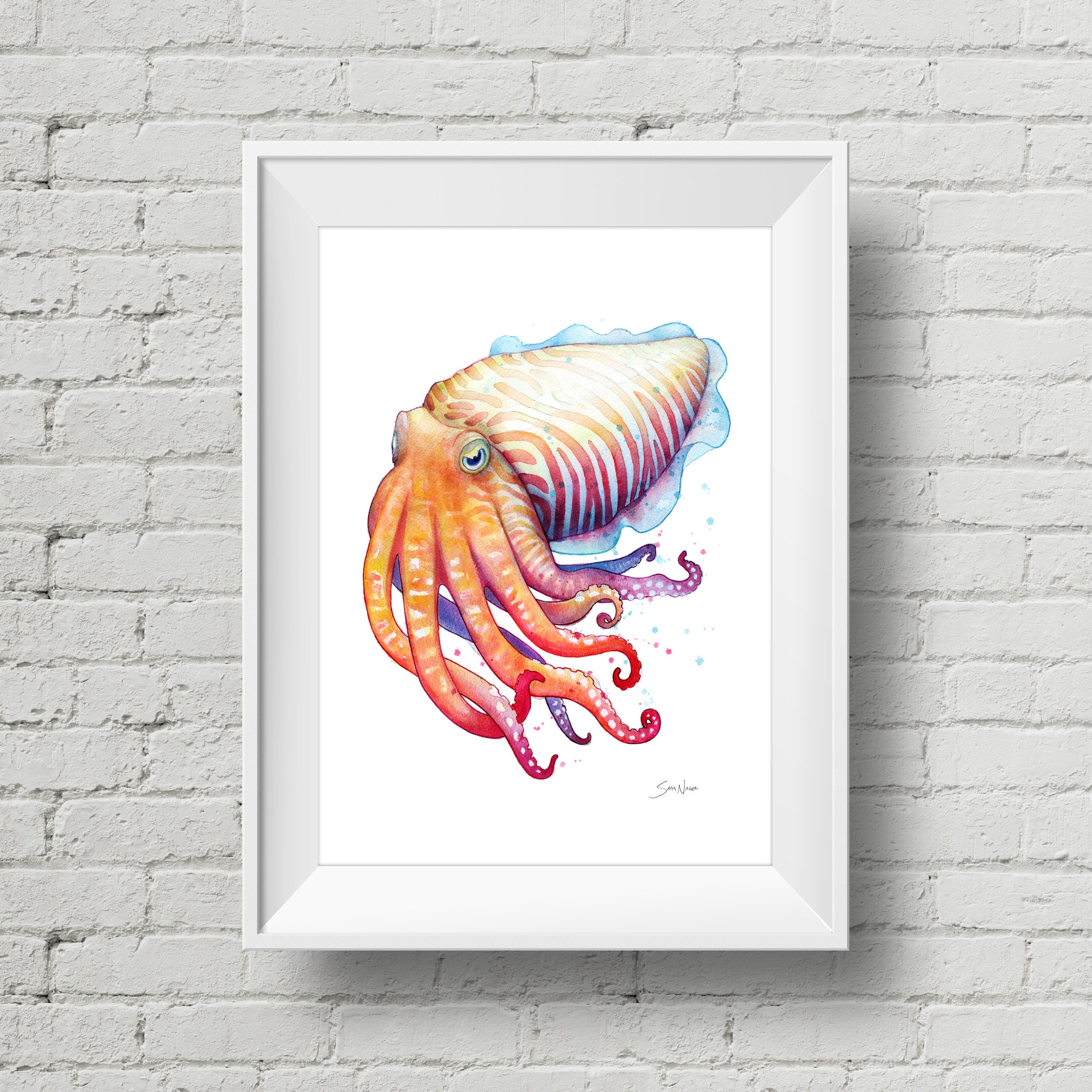 Cuttlefish : Art Print Colorful Cuttlefish Watercolor Painting - Etsy