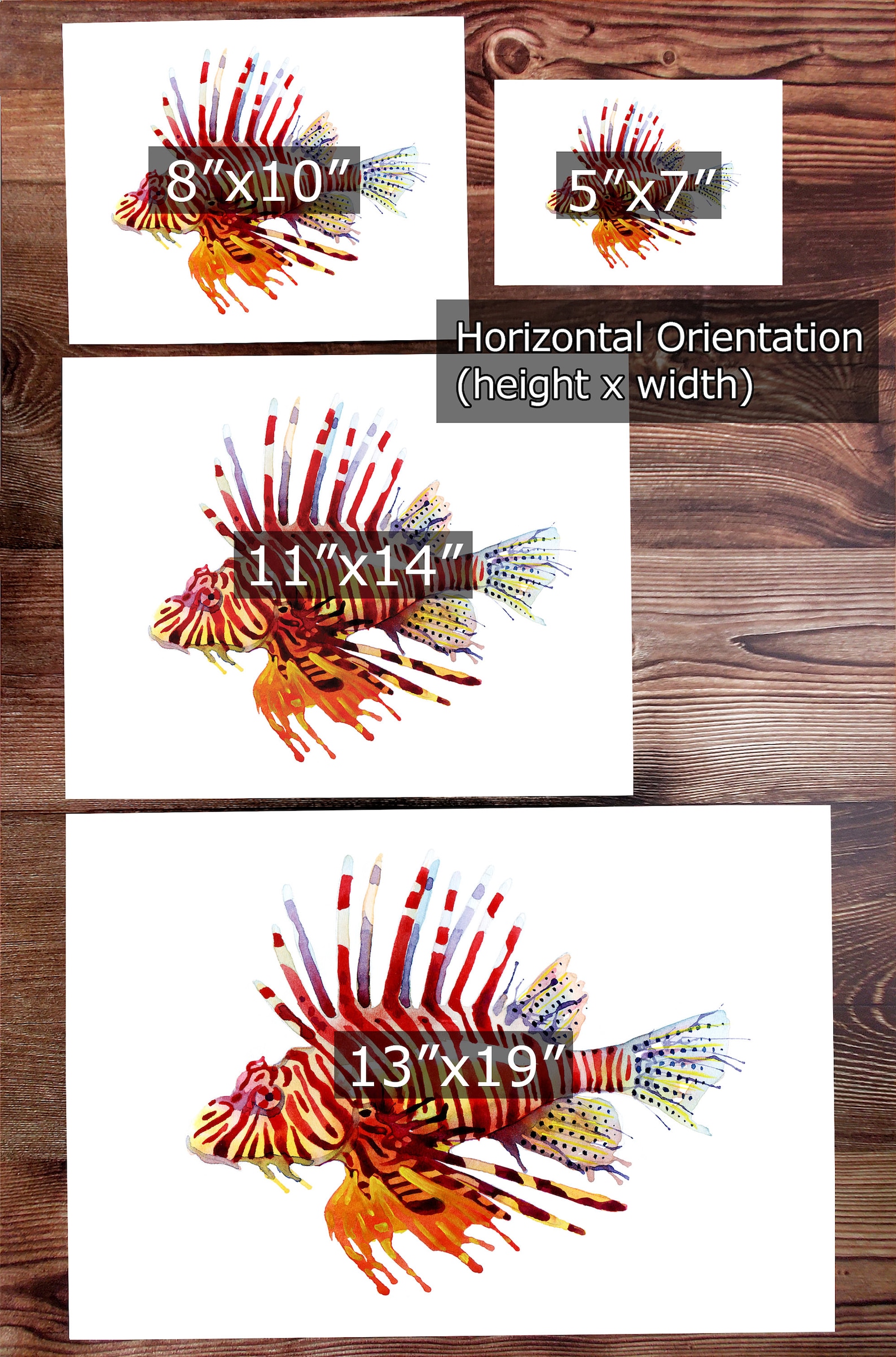 Lion Fish : Art Print Lionfish Sea Life Fish Watercolor - Etsy
