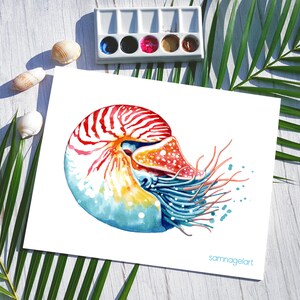Nautilus : Art Print, Colorful Sea Life Nautical Watercolor Painting - Etsy