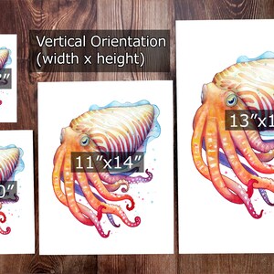 Cuttlefish : Art Print Colorful Cuttlefish Watercolor Painting - Etsy