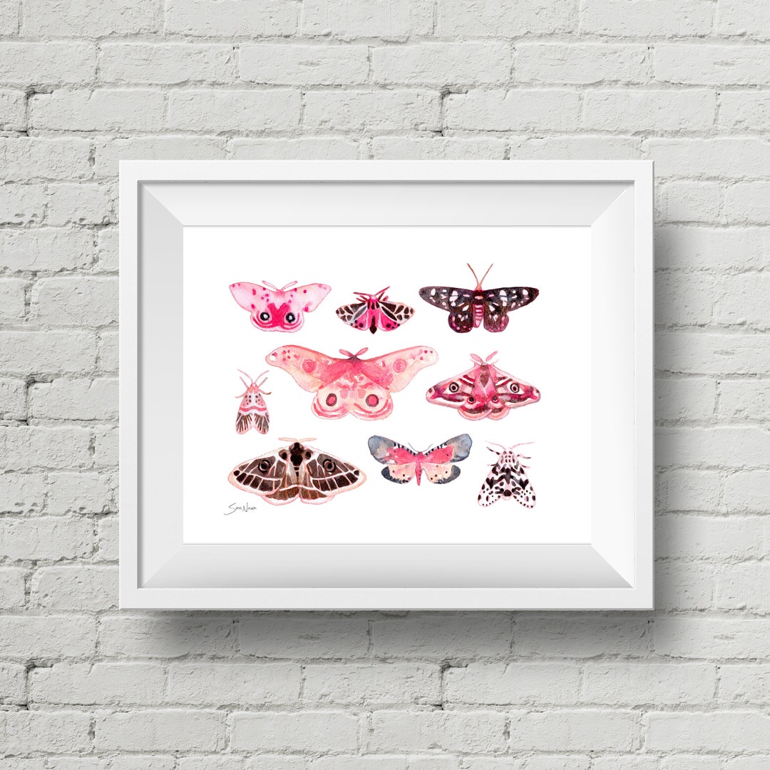 Moths in Pink : Art Print, Pink Moth Scientific Watercolor - Etsy