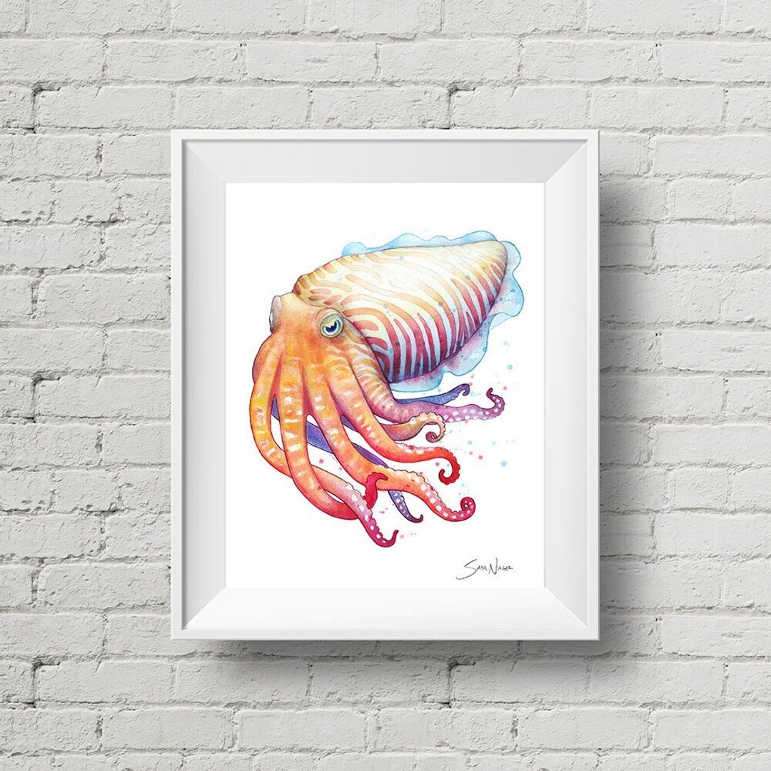 Cuttlefish : Art Print Colorful Cuttlefish Watercolor Painting - Etsy