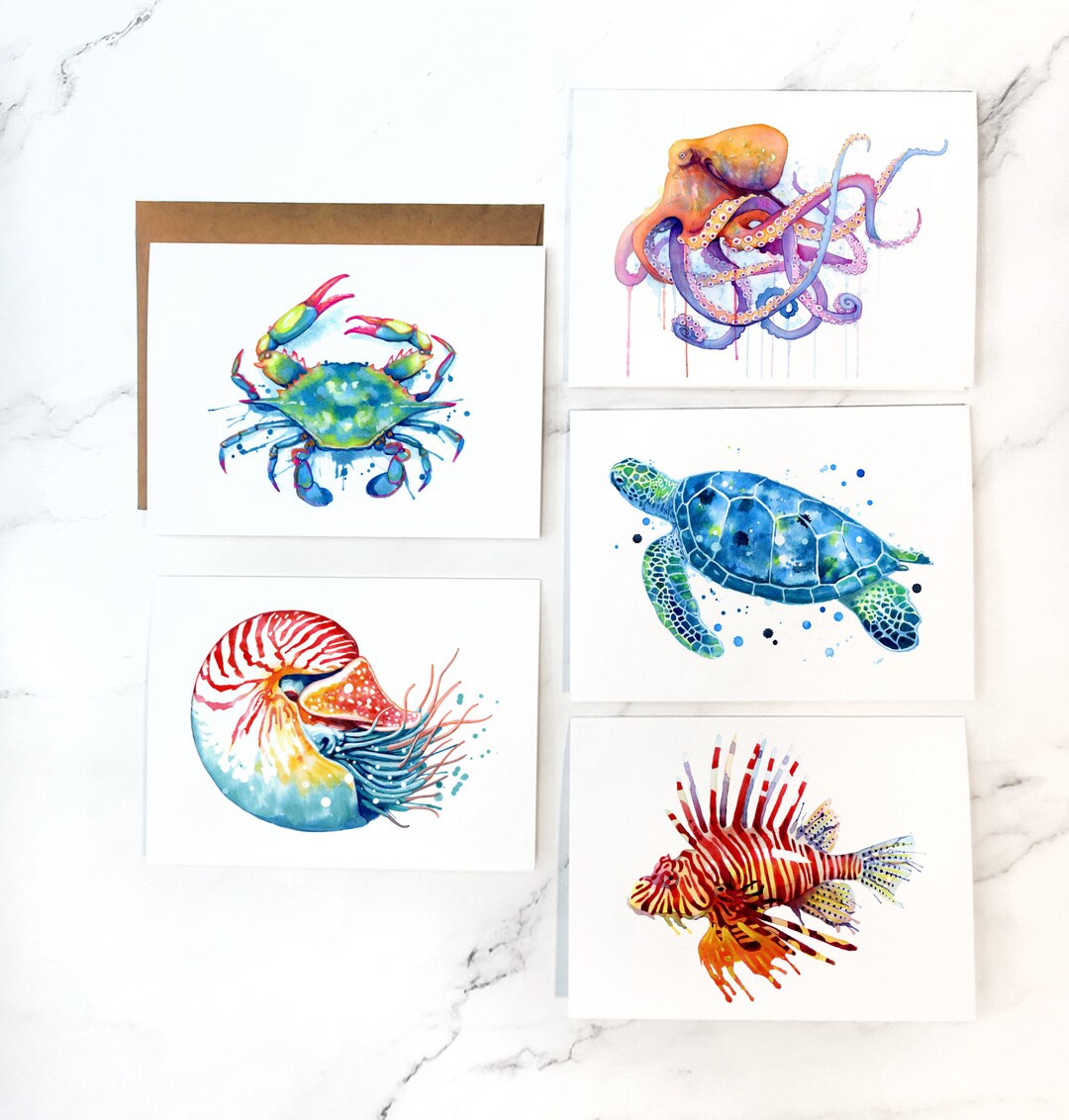 Colorful Sea Life 2 | Greeting Card Set Blank Inside | A7 5x7" Cards ...