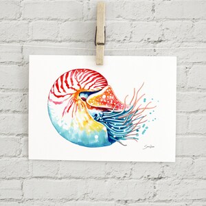 Nautilus : Art Print, Colorful Sea Life Nautical Watercolor Painting - Etsy