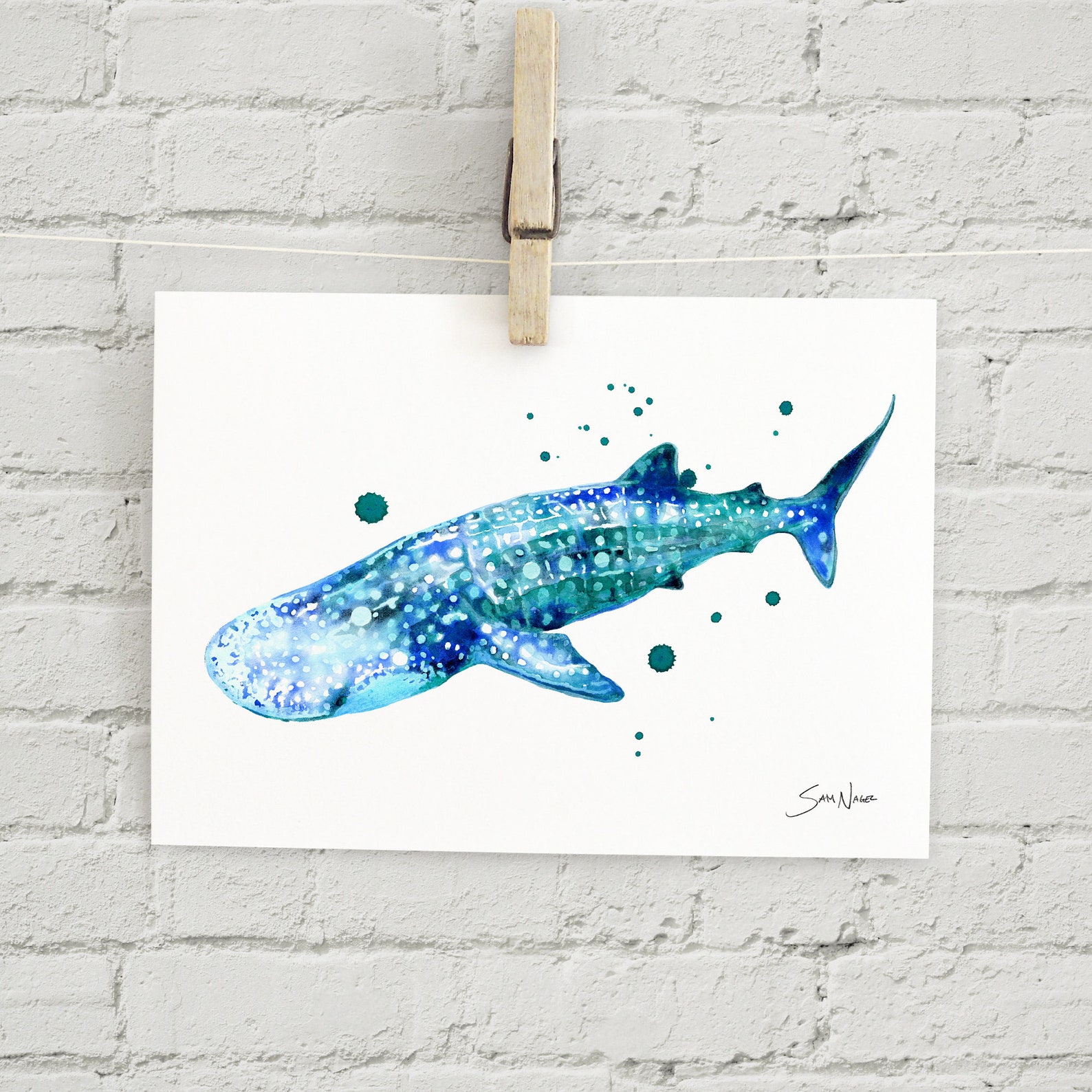 Whale Shark : Art Print Watercolor Painting - Etsy