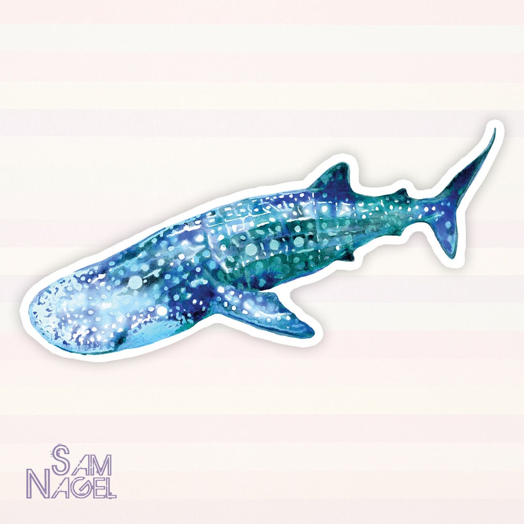 Whale Shark - Vinyl Sticker - Etsy