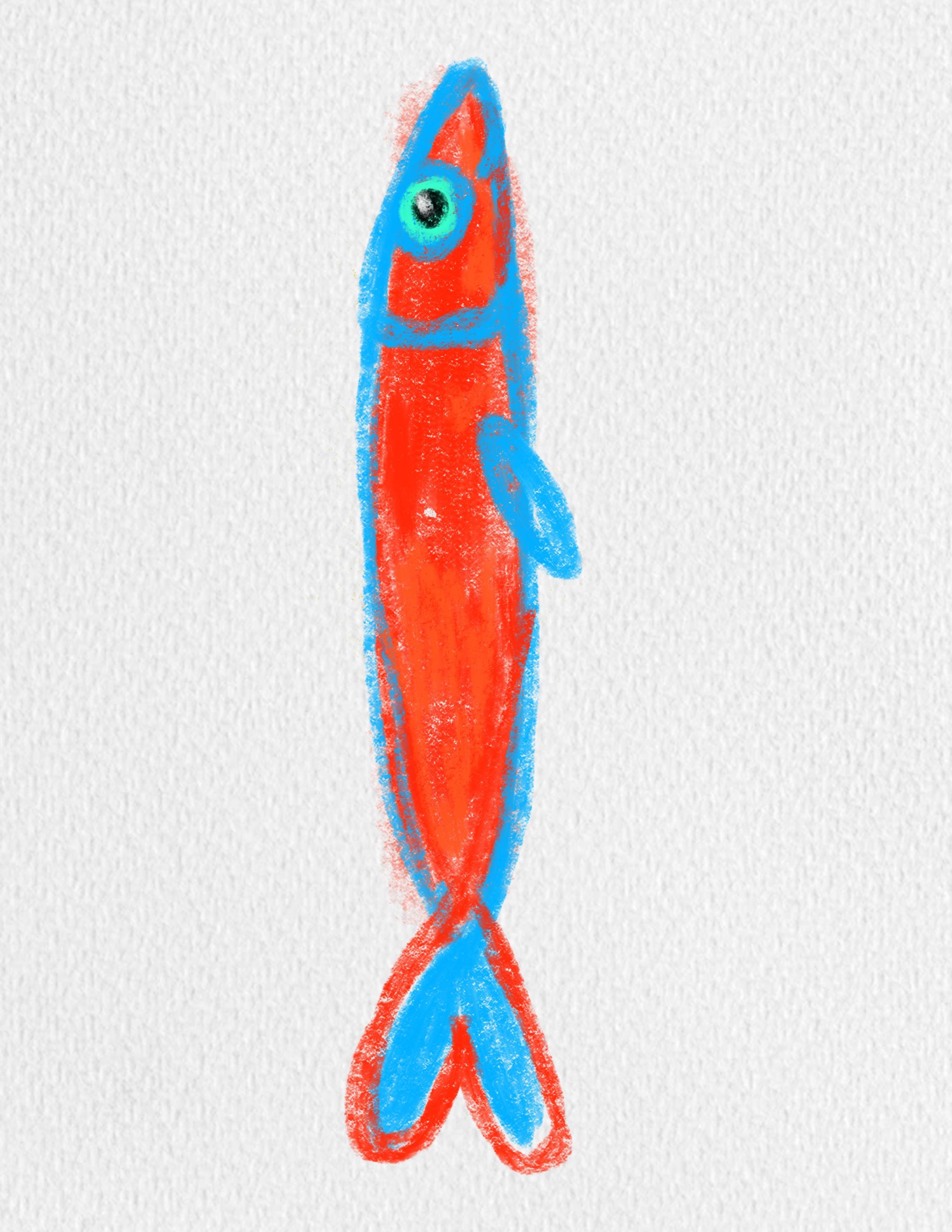 Hand-drawn Colorful Fish Illustration Assorted PNG Pack for Download ...