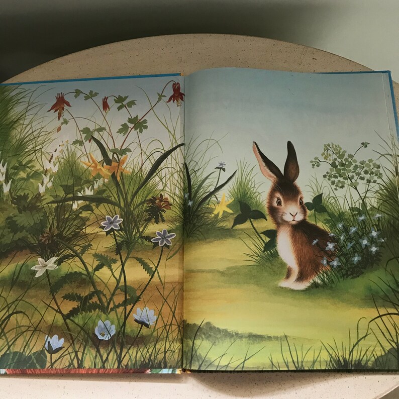Home for a Bunny Book by Margaret Wise Brown Illustrated by - Etsy