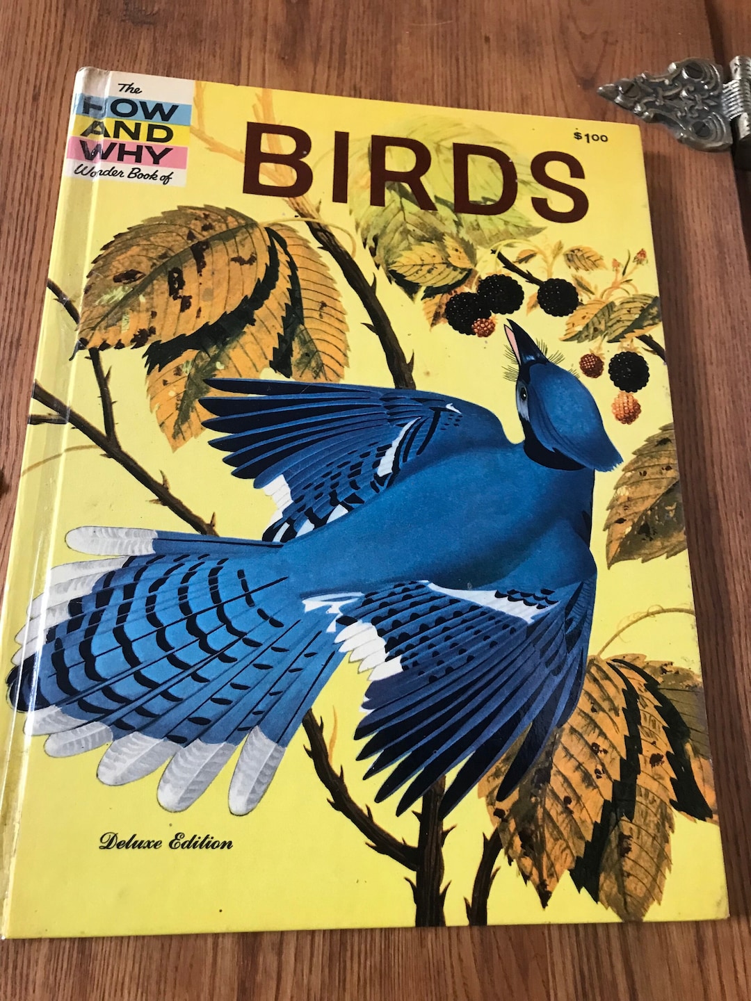 Wonder Book of Birds How and Why Library by Robert Mathewson ...