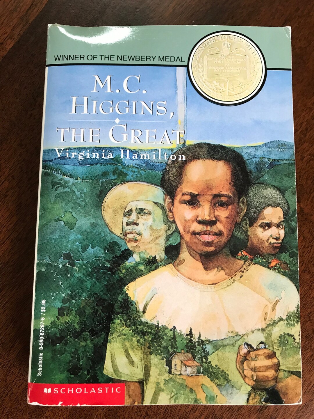 Virginia Hamilton M.C. Higgins, the Great Book 1970s John Newbery Medal ...