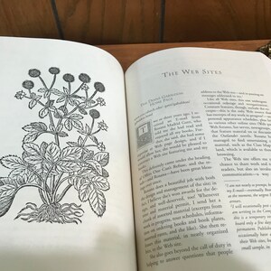 Outlandish Companion Book Diana Gabaldon's Reference Guide to All ...